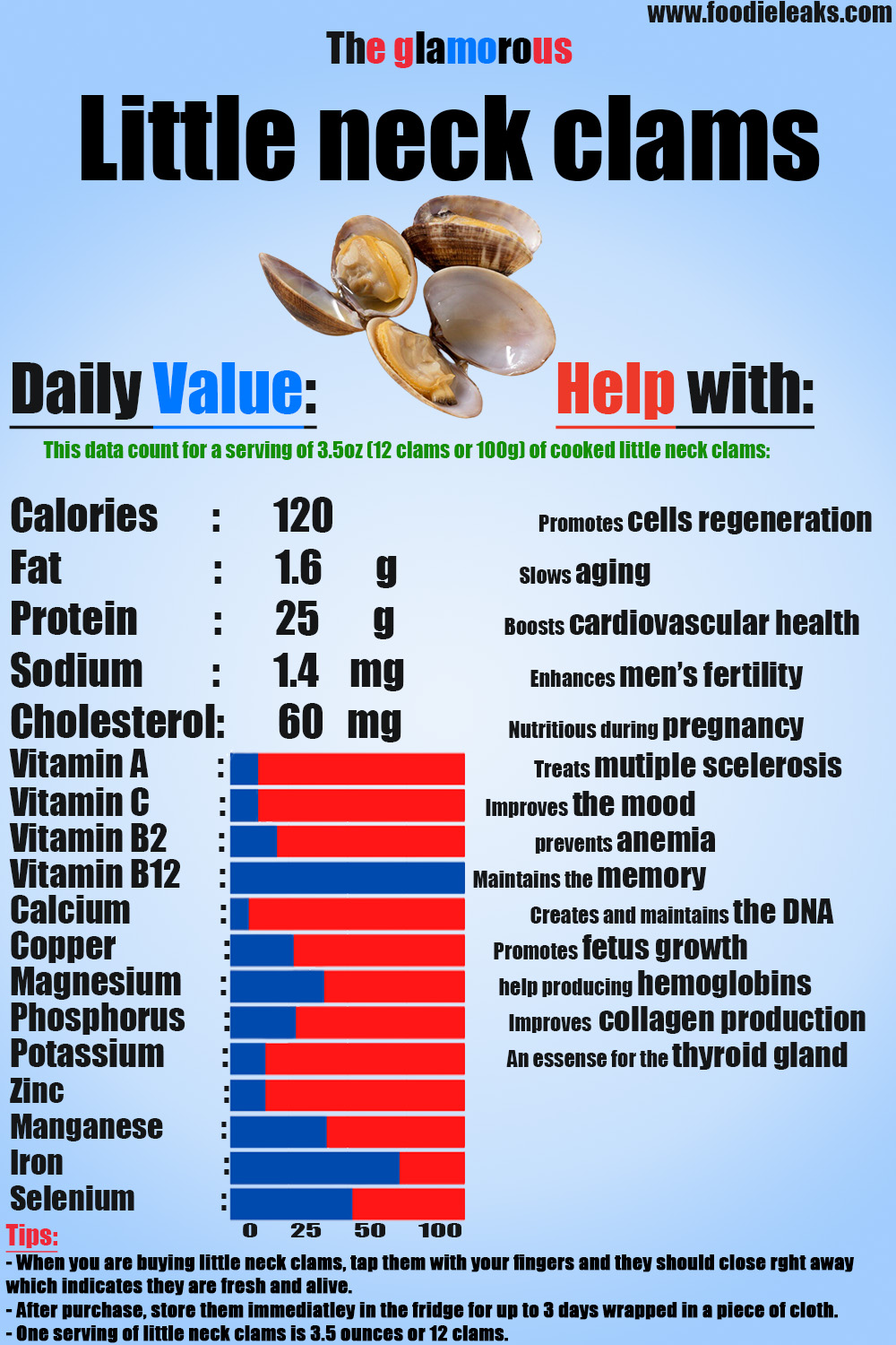 Little neck clams benefits and side effects! | Foodieleaks