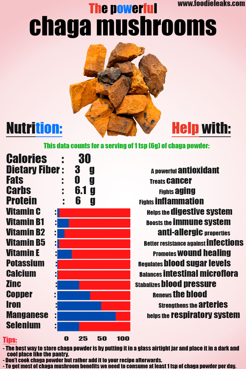 chaga mushroom benefits, uses and precautions! | Foodieleaks