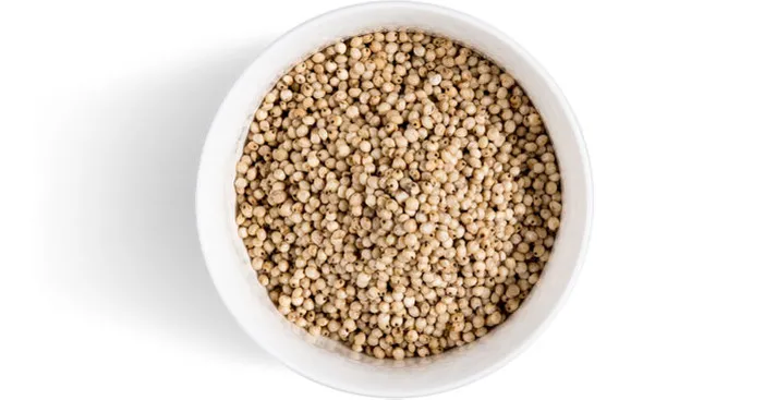 Milo Seed: An Ancient Grain with Modern Health Benefits - Foodieleaks